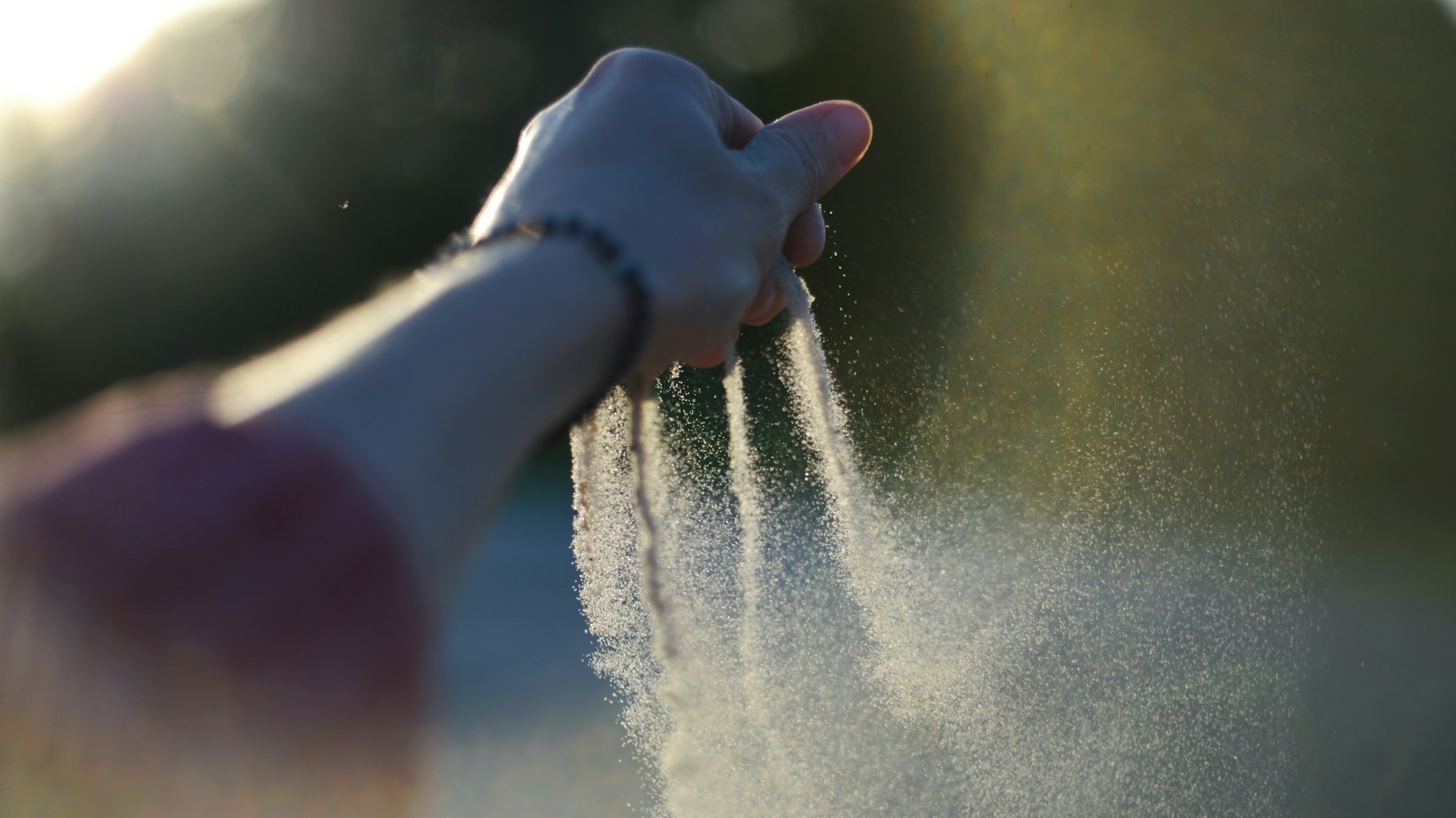 Release notes for multiple Lone Wolf products