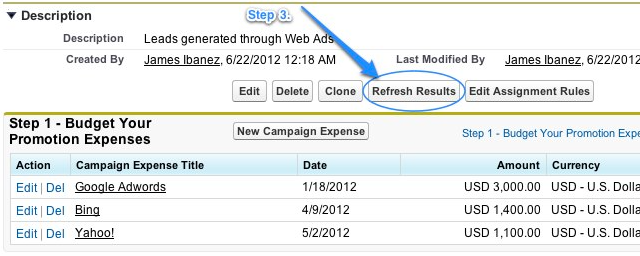 Marketing campaigns and ROI tracking (Classic) (Propertybase Salesforce ...