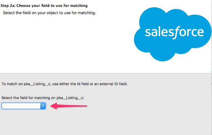 Data loader - part 3: map and import (Propertybase Salesforce Edition)