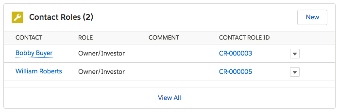 Use contact roles (Propertybase Salesforce Edition)