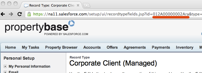 What is the record type ID of an individual client or company or ...