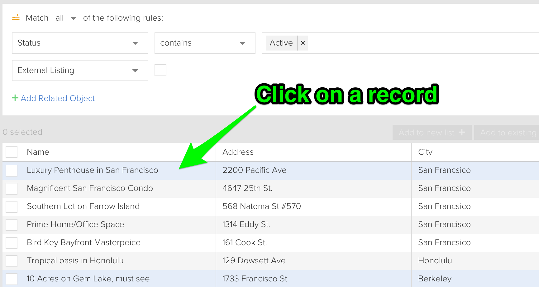 Browser record details (Propertybase Salesforce Edition)