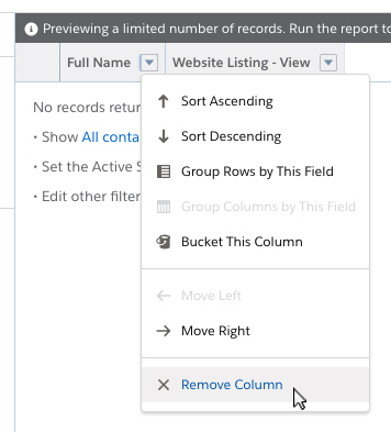 Build website activity reports (Propertybase Salesforce Edition)