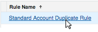 Check for duplicates on company records (Propertybase Salesforce Edition)