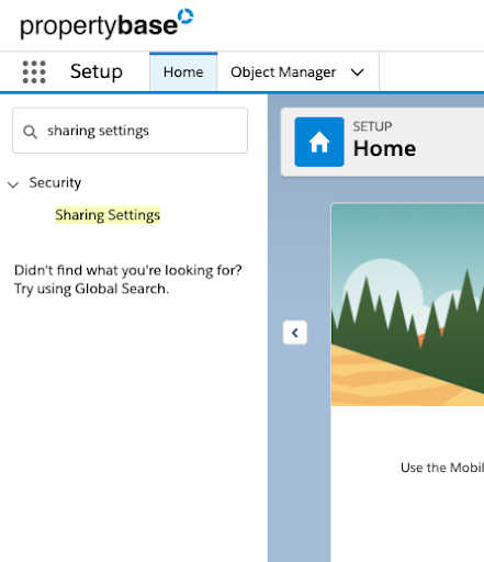 Update permission sets and sharing rules for guest users (Propertybase Salesforce Edition)