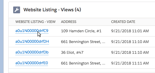 Websites overview (Propertybase Salesforce Edition)